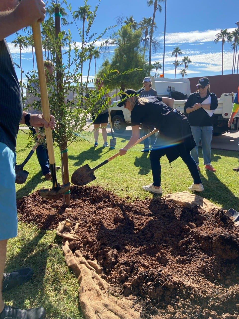 Sustainability | 2024 Men's Final Four Host Committee